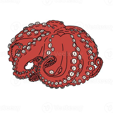 Giant Red Octopus 25271977 Png
