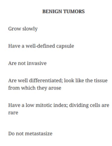 Pathophys Cancer Exam 2 Flashcards Quizlet