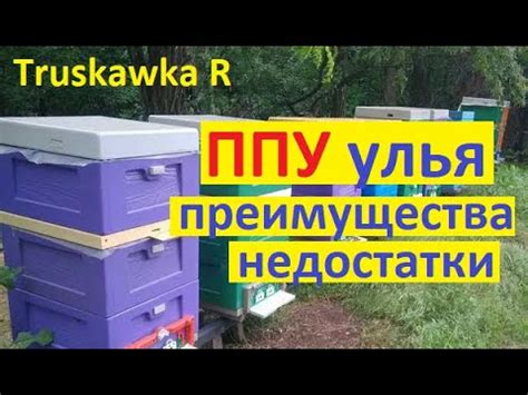 #пчёлы. Стоит ли заводить ППУ улья?. Какие плюсы и какие минусы при ...