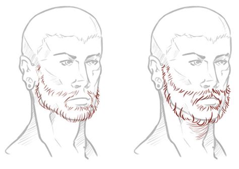 Beard Drawing Ideas To Improve Man Drawing DIYnCrafty