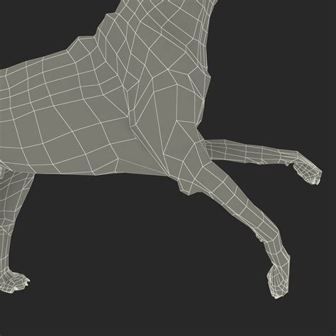 3d Model Rottweiler Pose 2