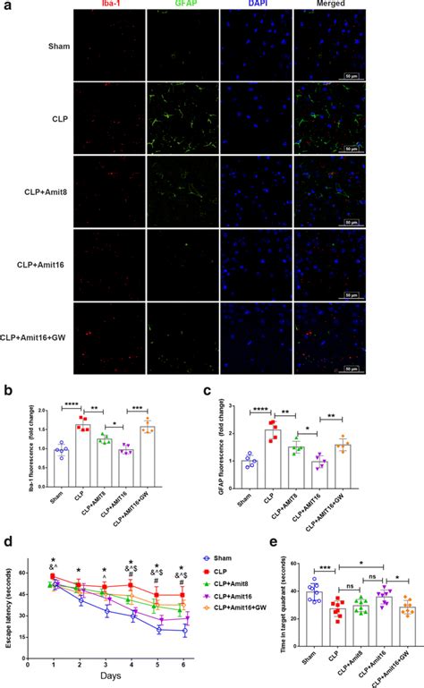 Amitriptyline Treated Mice Are Protected From Early Sepsis Induced