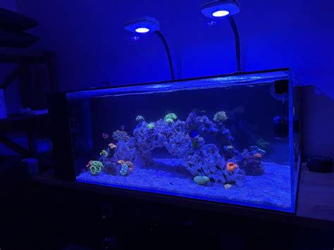 Aio Build 43 Gal Aio Upgrade Reef2reef