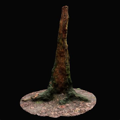 Photo Scan Broken Tree Stump 3d Model Cgtrader