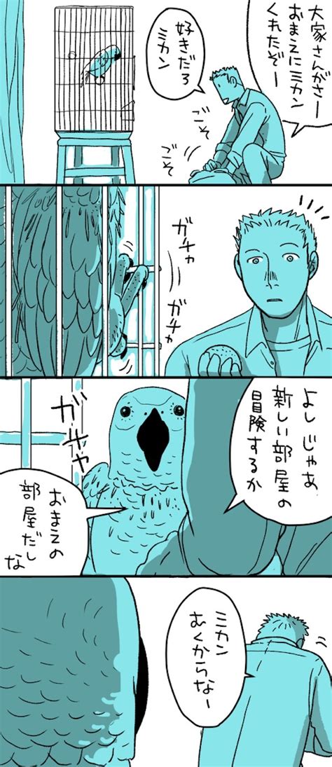 ＜画像179 260＞【コマさんまとめ】「家族経営のスーパーの女の子と近くの工事現場のお兄さんの話」「窓拭きお兄さんが告られておじさんたち