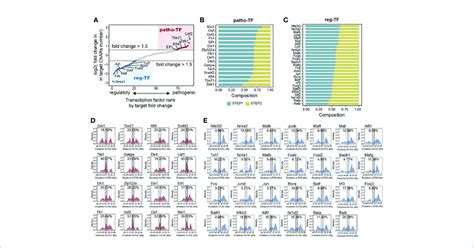 Transcription Factor Binding Motifs Enriched From Opening And