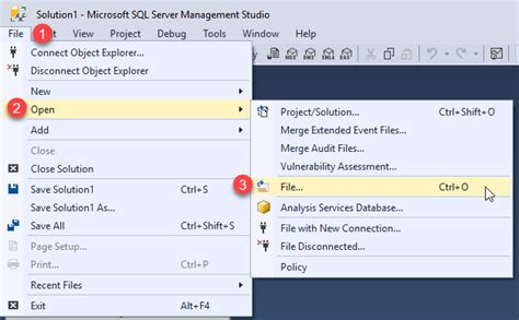 Load Sql Server Sample Database