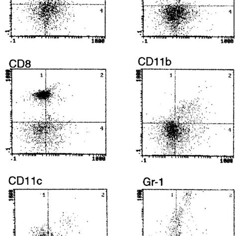 Two Color Immunofluorescence Analyses On Murine Peripheral Blood