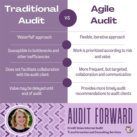 Elizabeth Mcdowell Cpa Cia On Linkedin Has Your Audit Shop Adopted