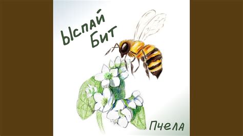 Пчела Youtube