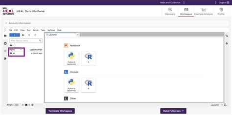 Using Workspaces On The Heal Data Platform Heal Platform Documentation