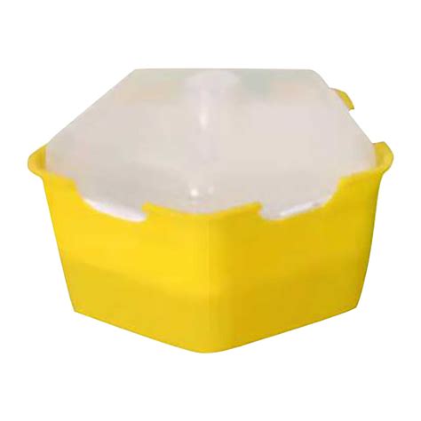 Mini Sprouter Tray 1 Pc Seed Sprouter Tray With Lid Kit Nursery Tray