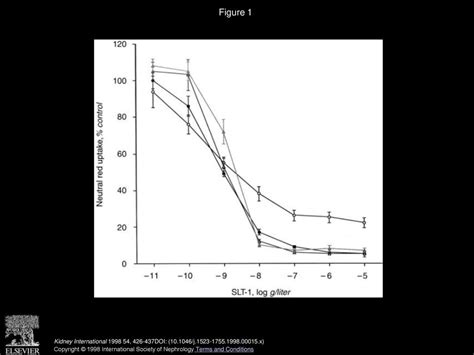 Cytotoxic Effect Of Shiga Toxin 1 On Human Proximal Tubule Cells1 Ppt