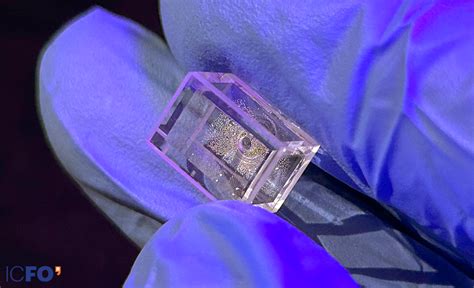 Atomic Sensors Unveil Hidden Dynamics Of Molecular Polarization