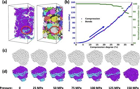 Computational Model For Predicting Particle Fracture During Electrode Calendering Xu 2023
