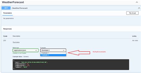 Multiple Requestresponse Examples For Swagger Ui In Aspnet Core