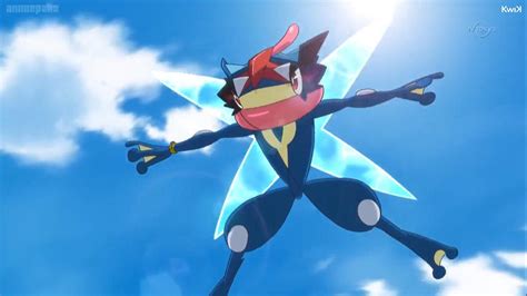 Greninja Appreciation Post R Pokemonanime