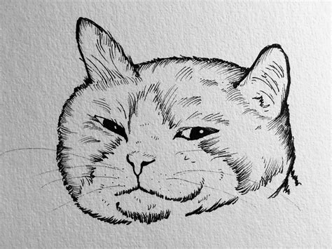 Chubby Cat I Drew Last Night Album On Imgur