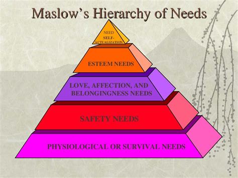 Maslow S Hierarchy Of Needs In Nursing