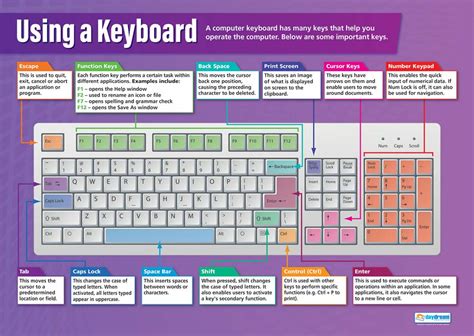 Buy Daydream Education Using A Keyboard Gloss Paper Large Format 33