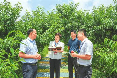 群众获得感是检验“金标准” 四川日报电子版