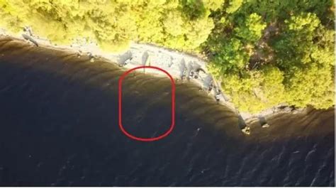 假的？尼斯湖水怪猎人 踢爆震惊全球影片是骗局 ＊ 阿波罗新闻网