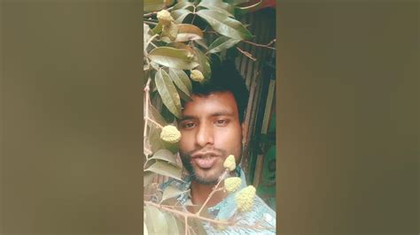 আমার মত কারা কারা লিচু পছন্দ করেন বলে যাবেন কমেন্ট বক্সে Shortvideo