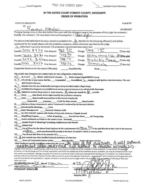 Order Of Probation Pdf