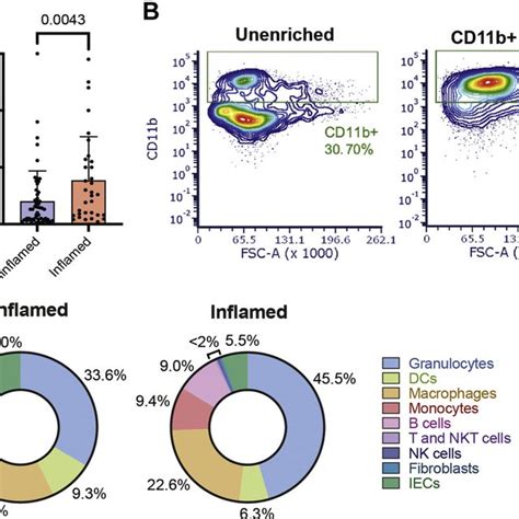 Characterization Of Cd11b Enriched Cells Shows An Increased Overall