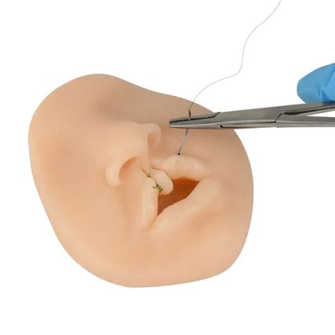 Newborn Bilateral Complete Cleft Lip Suture Model And Palate Simulator