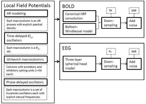 Strategies Used For Synthetic Neural Data Modeling Lfps Are Simulated
