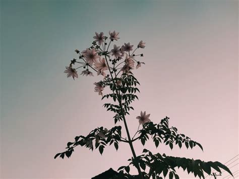 By Gm Takapy Id Photohito