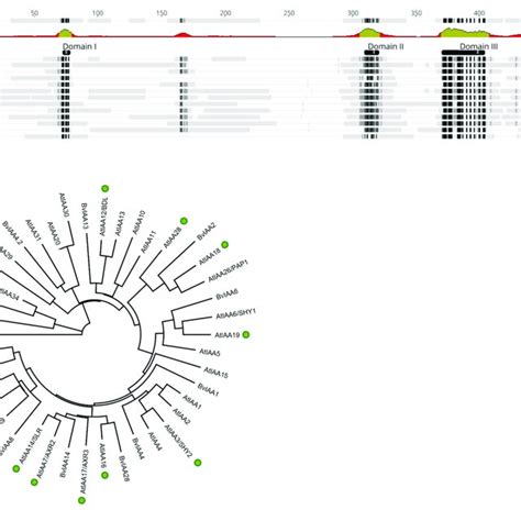A Multiple Sequence Alignment Geneious 20201 Software Of All Iaa