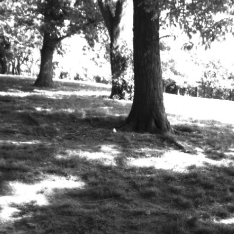 Semi Dense Depth Map Estimation Top Left Example Image Frame Bottom Download Scientific