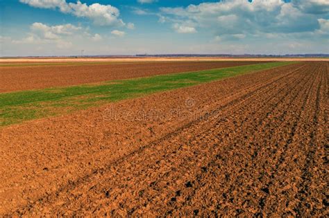 Agricultural Field Soil After Tillage Stock Image Image Of Tillage