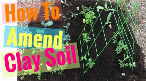 How To Amend Soil For Garden Bed Youtube