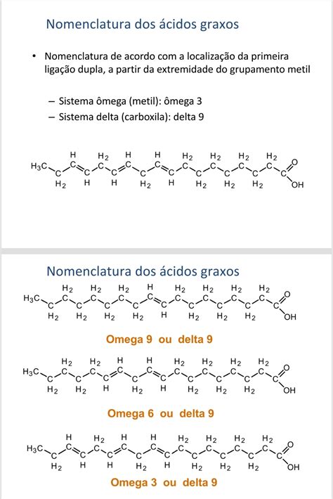 Nomenclatura Dos Ácidos Graxos Química