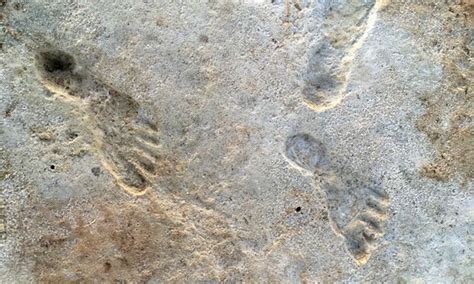 New Mexico Oldest Human Footprints In America Ogn Daily