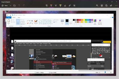 Snip N Clip Spiderapo
