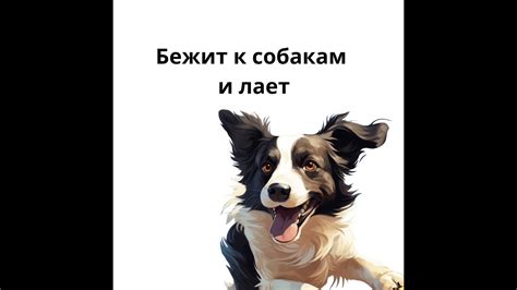 Собака бежит к собакам и лает что делать вопрос ответ Youtube