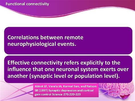 Functional Segregation Vs Functional Integration Of The Brain