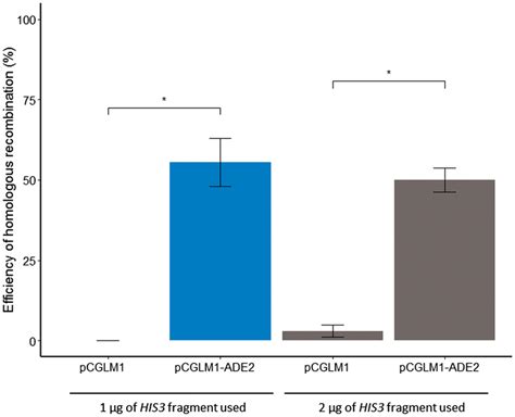 Efficiency Of Homologous Recombination At The Ade2 Locus With The His3