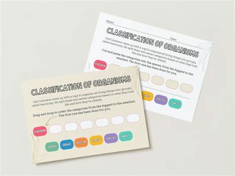 Classification Of Organisms Digital And Printable Worksheets Taxonomy Worksheet Organized