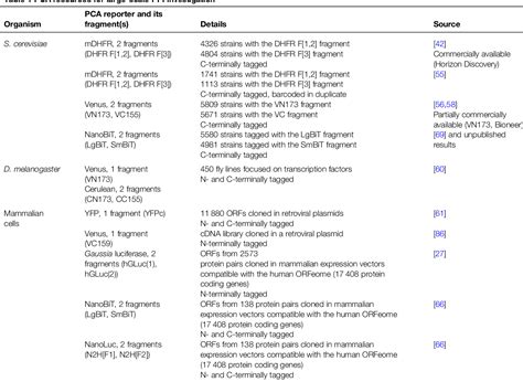 Figure 1 From Protein Fragment Complementation Assays For Large Scale Analysis Of Protein