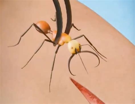 閲覧注意兵士ヤバい腕が裂けた上官軍隊アリを大量に集めてこい 衝撃映像 ポッカキットポッカキット