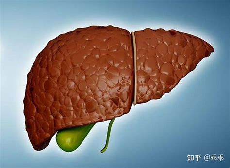 “放屁频繁”到底咋回事？是身体在排毒吗？肛肠科医生说出答案 知乎