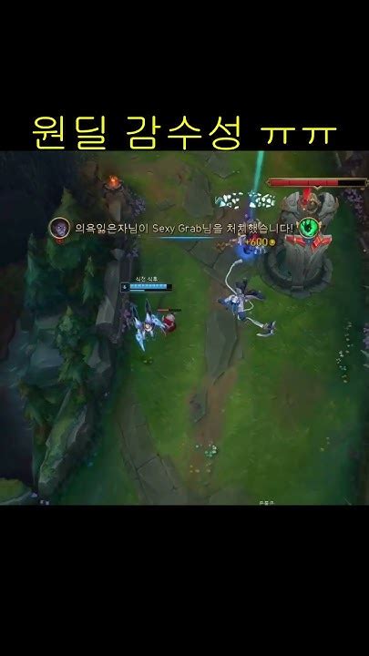 원딜은 왜 존재하는가 Youtube