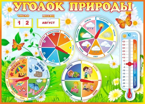 Календарь природы с ромашками - Topdekor.by