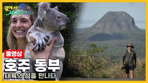 걸어서세계속으로full📺 보석 같은 산호섬과 쪽빛 바다가 유혹하는 호주 동부 Trip To Australia Kbs