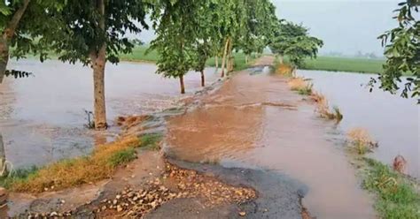 Haryana Villagers Grapple With Online Applications To Access Flood Relief